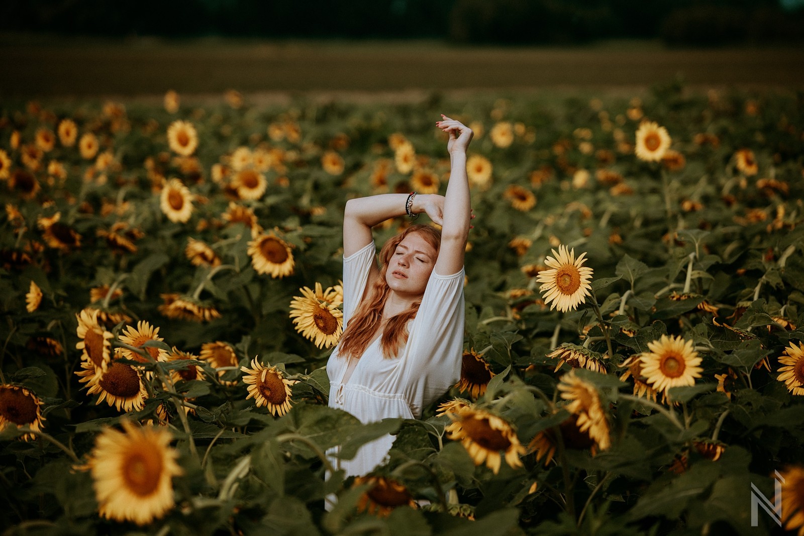 Makayla B. | Summer Sunflower Field Fashion Portraits | Columbia Bottom ...